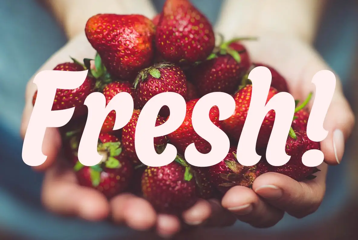 Juno Font - YouWorkForThem