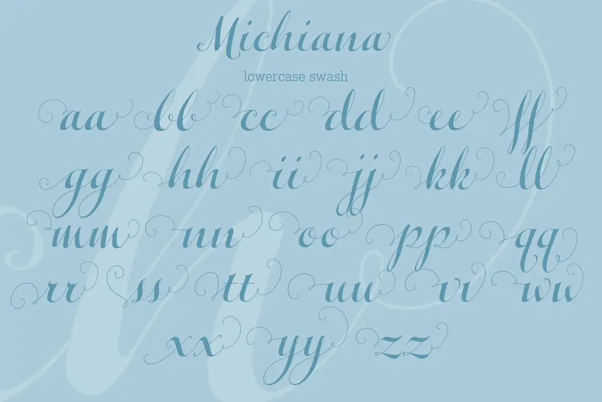 Michiana Pro Font - YouWorkForThem