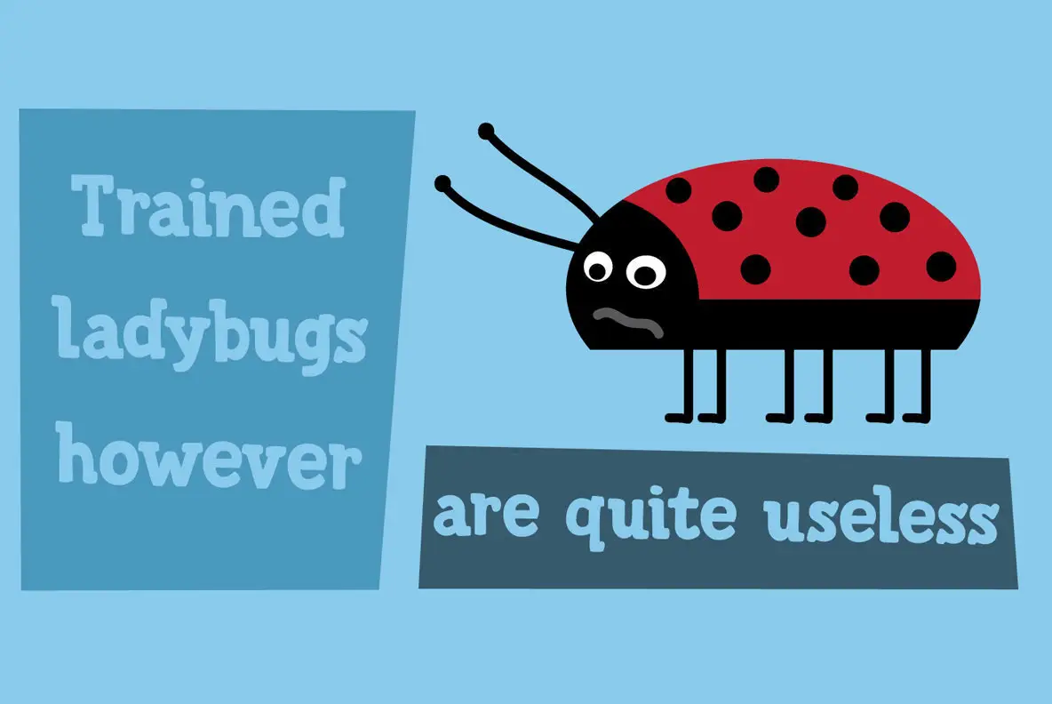 Trained Monkey Font - YouWorkForThem