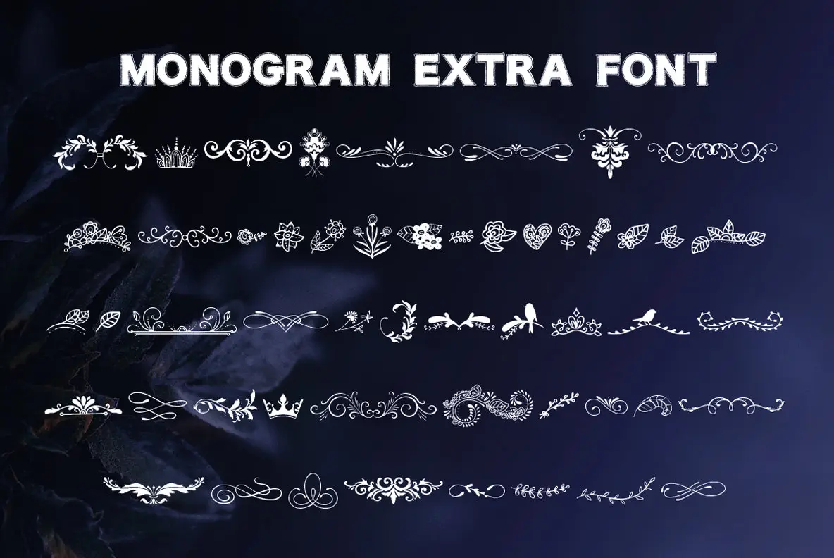 Monogram Font Family Font - FontPath