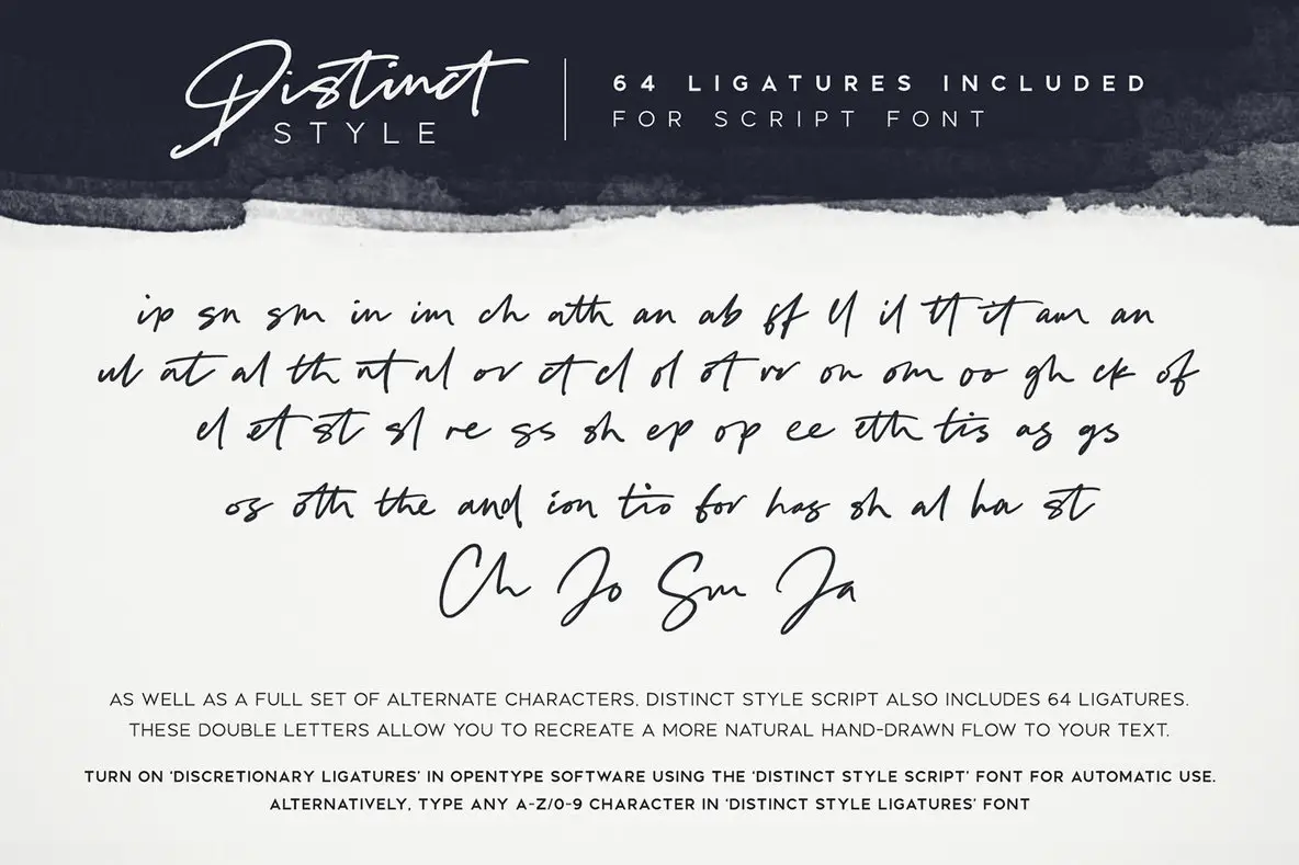 Distinct Style Font Duo - YouWorkForThem