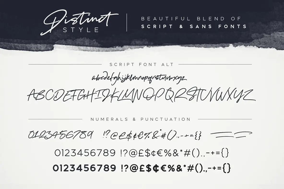 Distinct Style Font Duo - YouWorkForThem