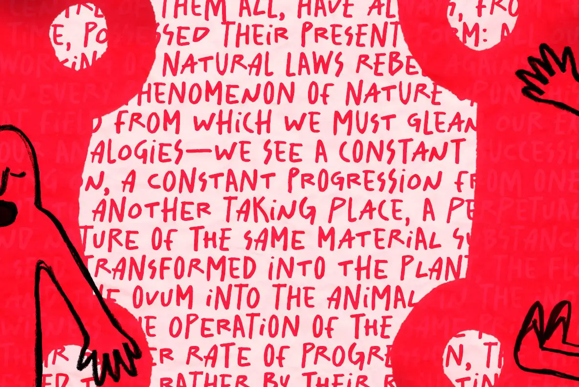 Salted Font - YouWorkForThem