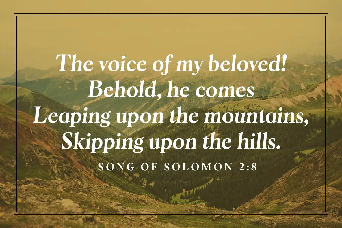 Botany Font - FontPath