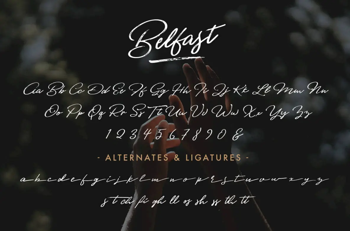 Belfast A Dry Brush Script Font - FontPath
