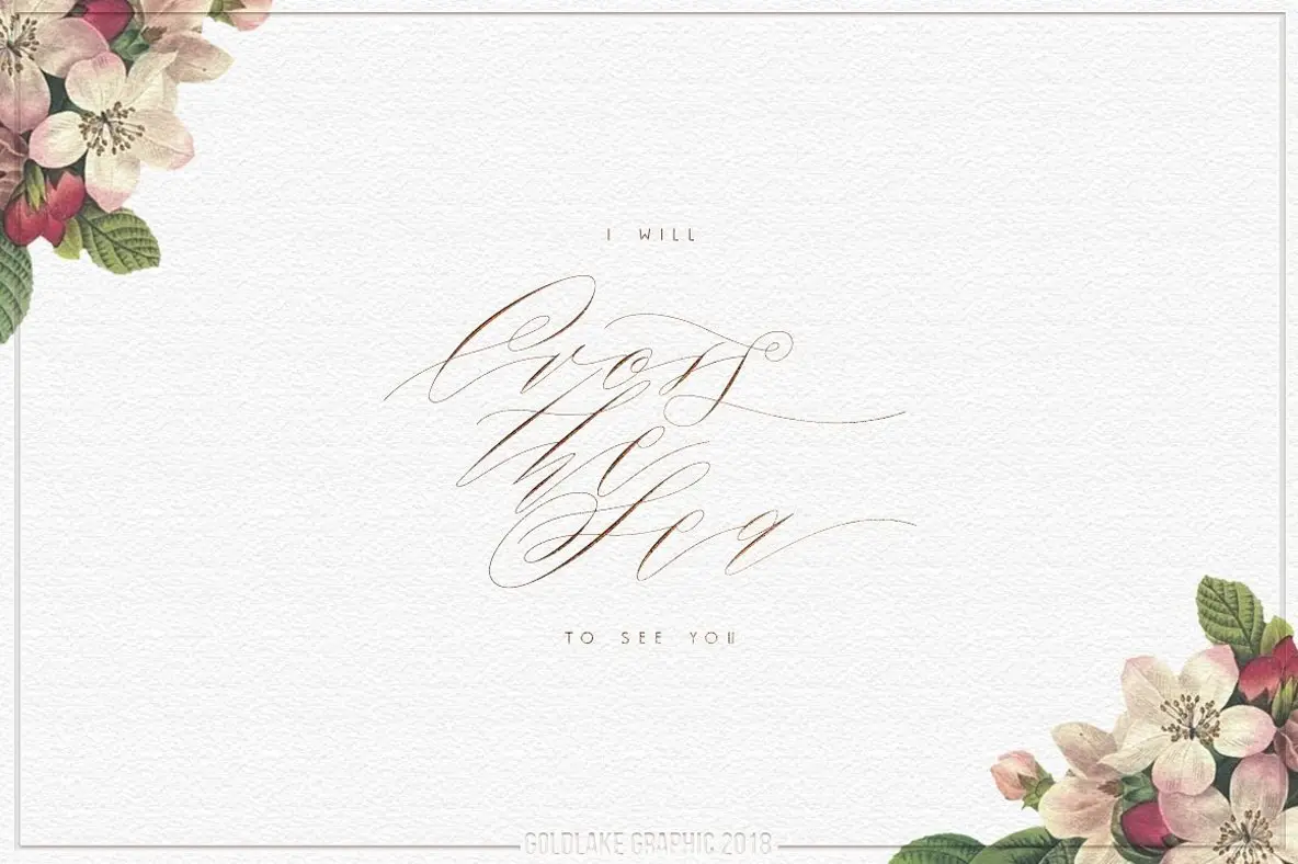 Roosy Script Font - FontPath