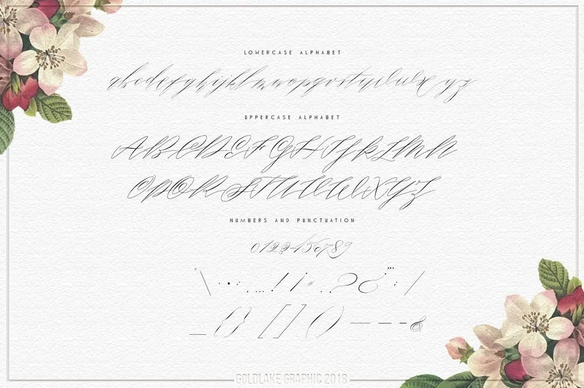 Roosy Script Font - FontPath