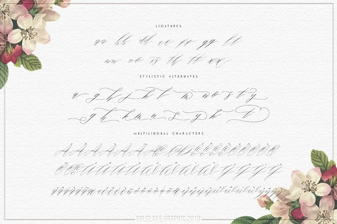 Roosy Script Font - FontPath