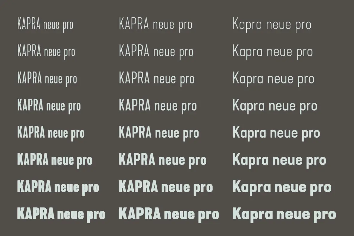 Kapra Neue Pro Font - FontPath