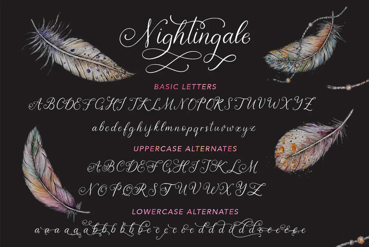 Nightingale Font - YouWorkForThem