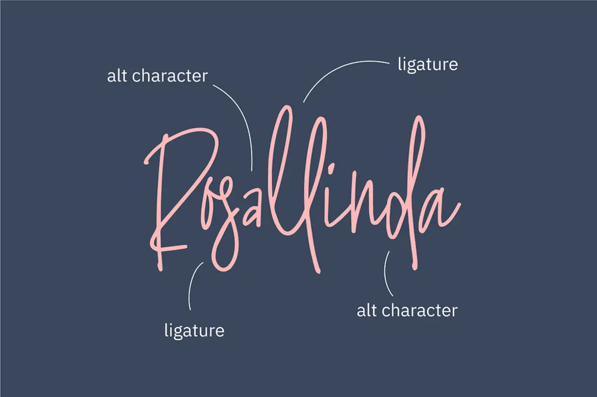 Jack and Rose Font - YouWorkForThem