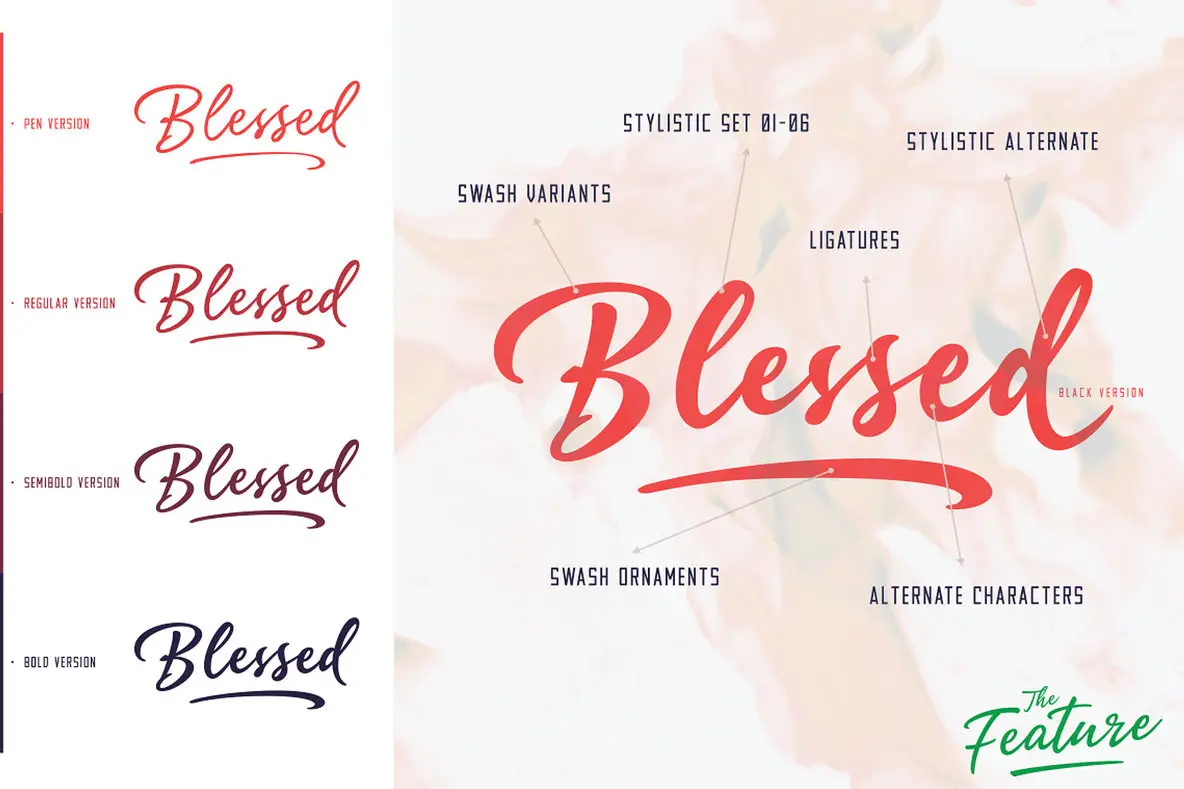 Quente Script and Tamigos Font - FontPath