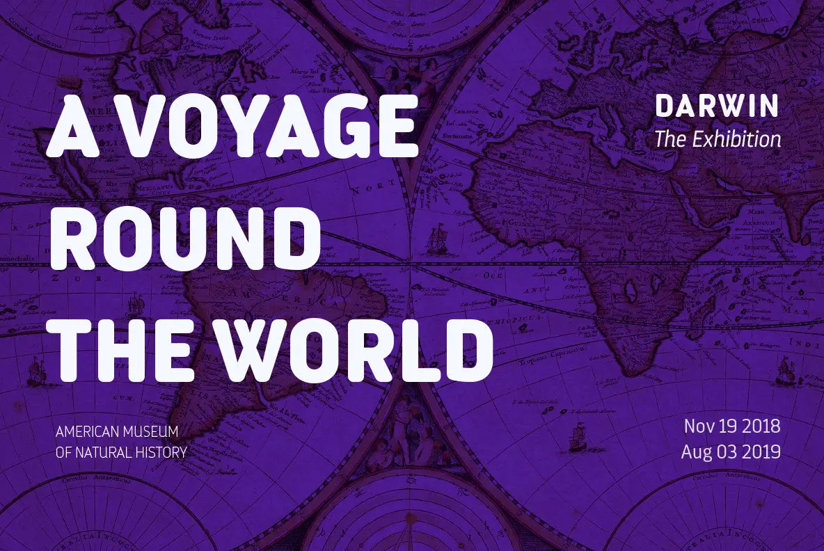 Darwin Rounded Font - YouWorkForThem