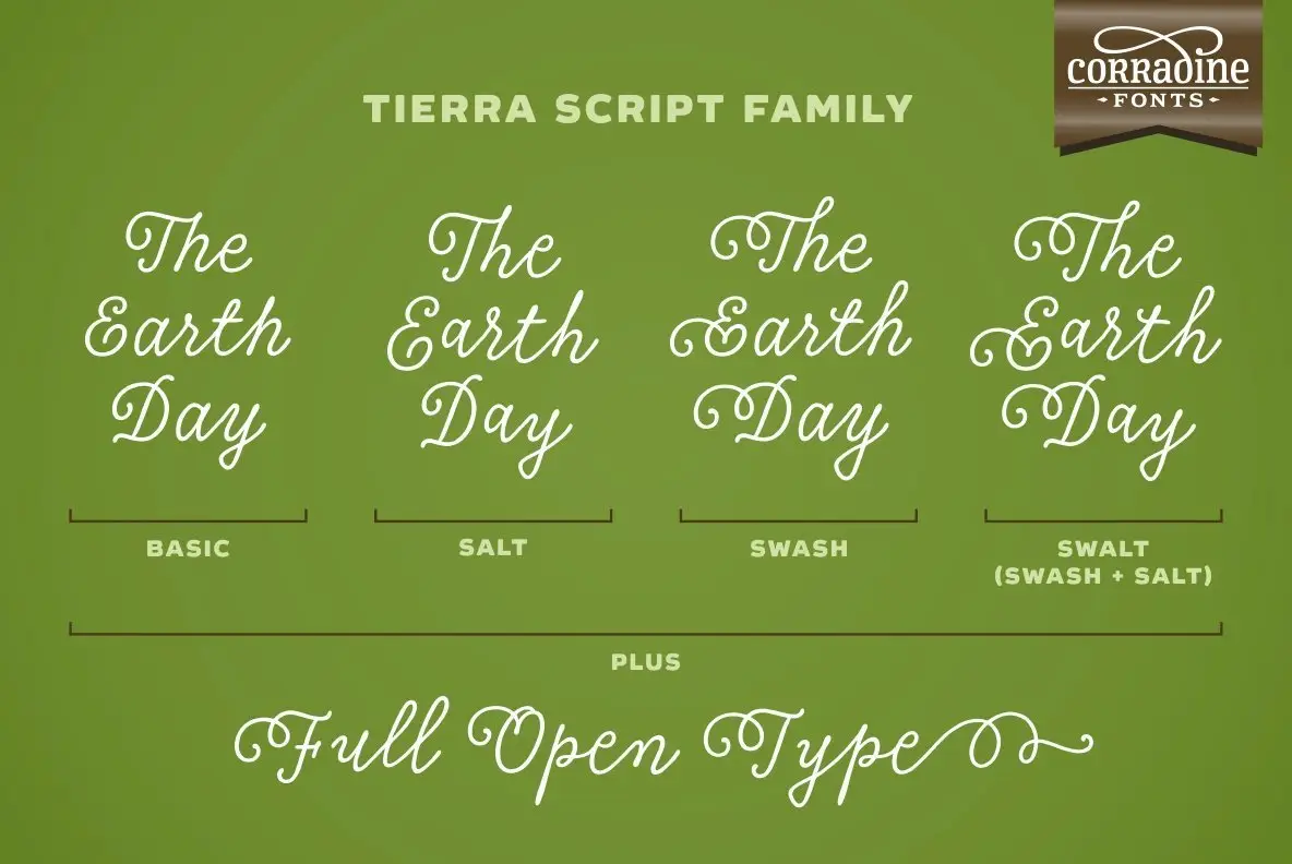Tierra Script Font - FontPath