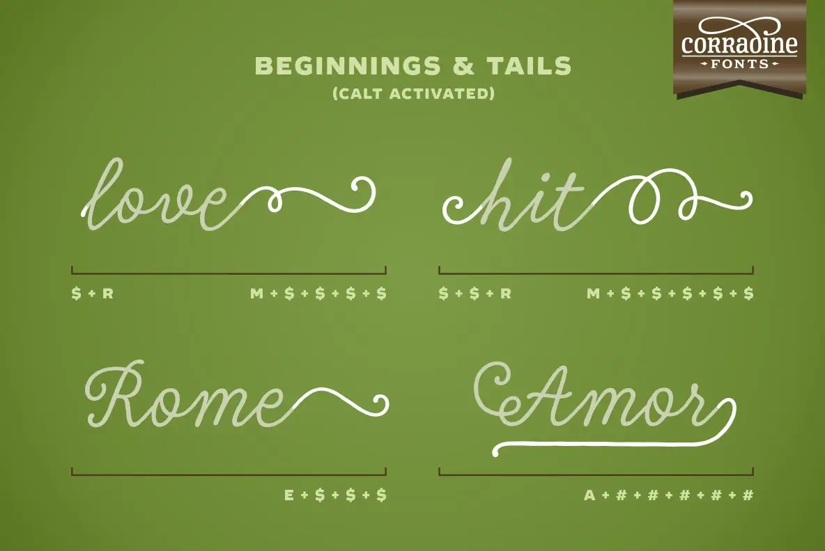 Tierra Script Font - FontPath