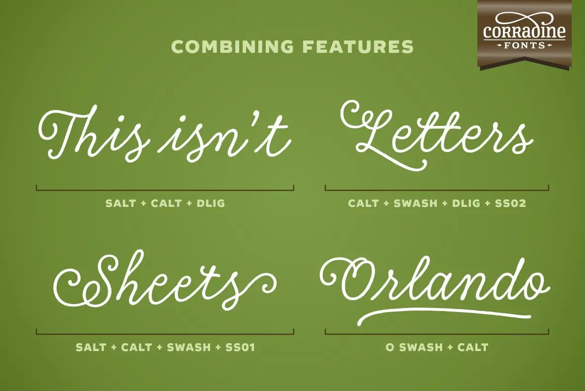 Tierra Script Font - FontPath