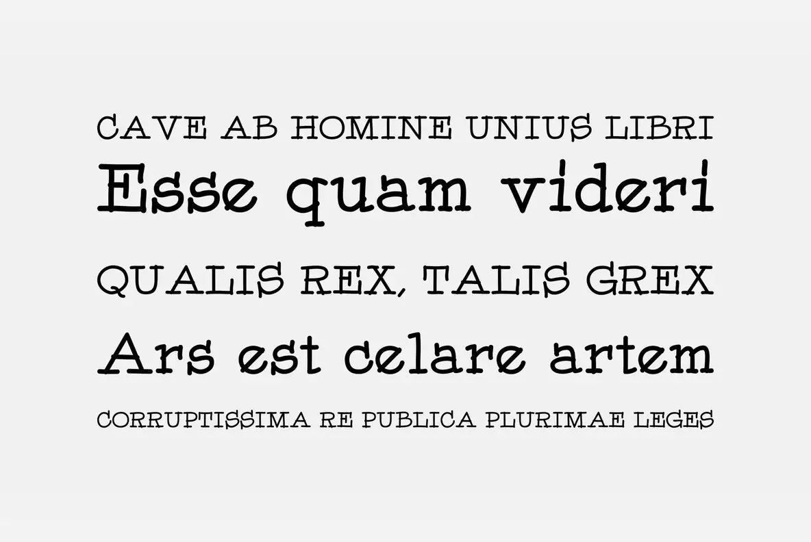 GG Serif Font - FontPath