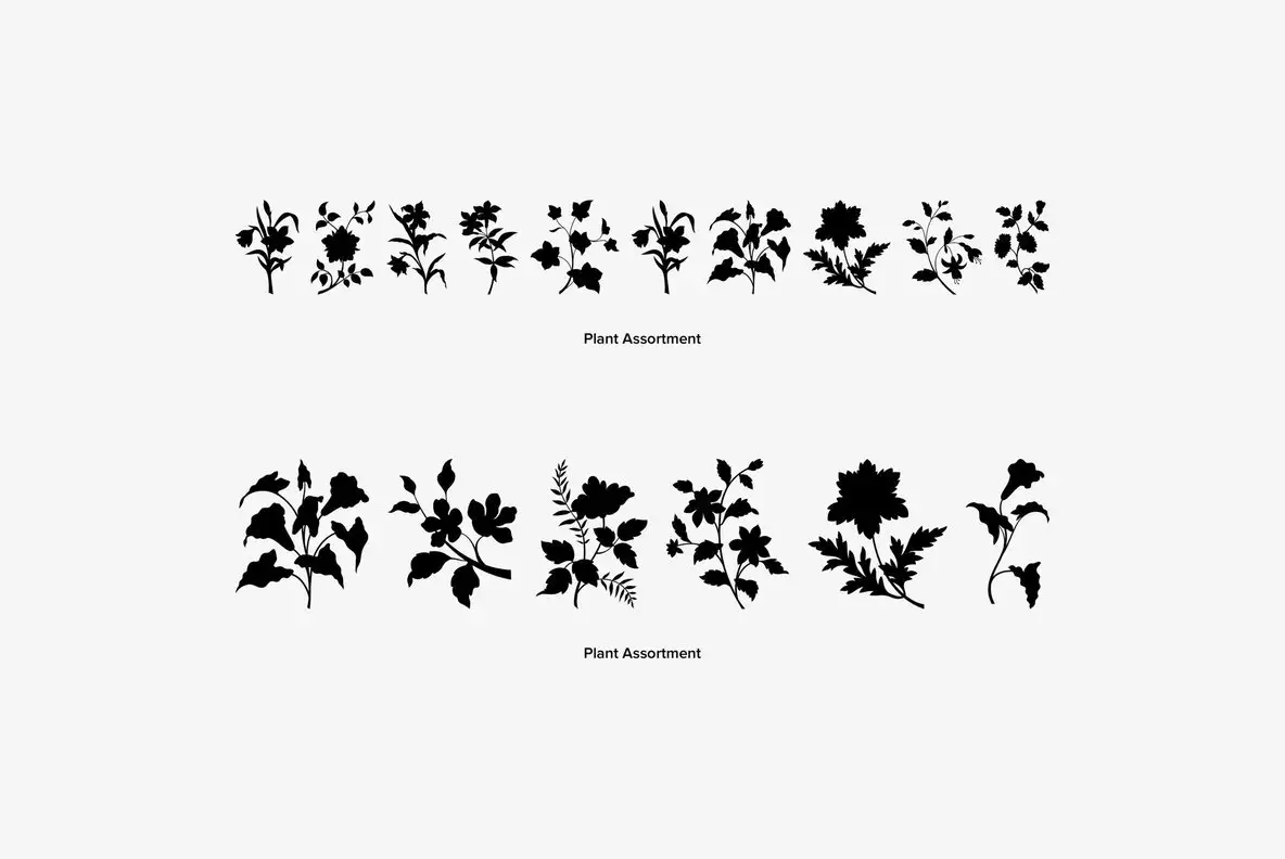 Plant Assortment Font - YouWorkForThem