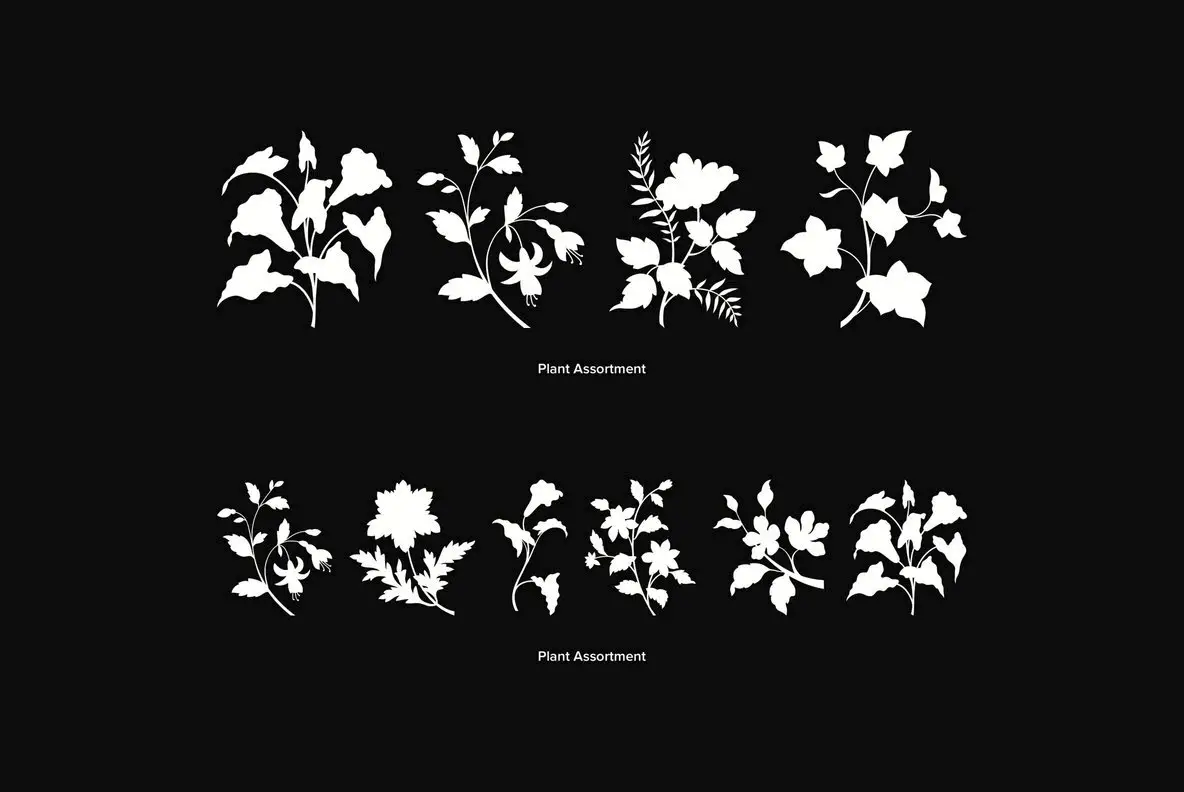 Plant Assortment Font - YouWorkForThem