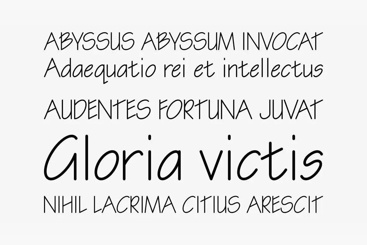 Charisma Font - YouWorkForThem