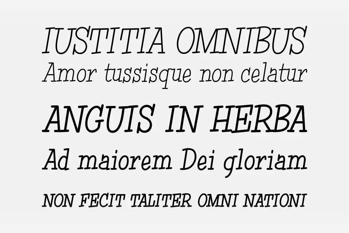 Simple Serif Font - YouWorkForThem