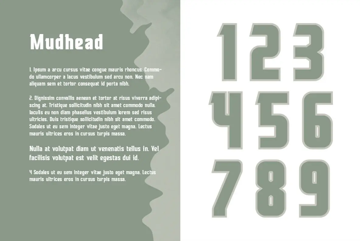 Mudhead Serif Font - YouWorkForThem