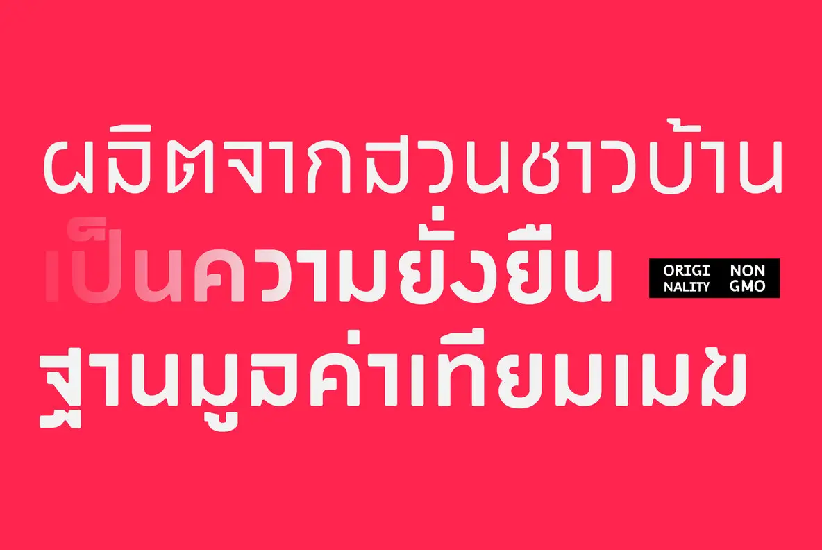 CHALOM Font - YouWorkForThem