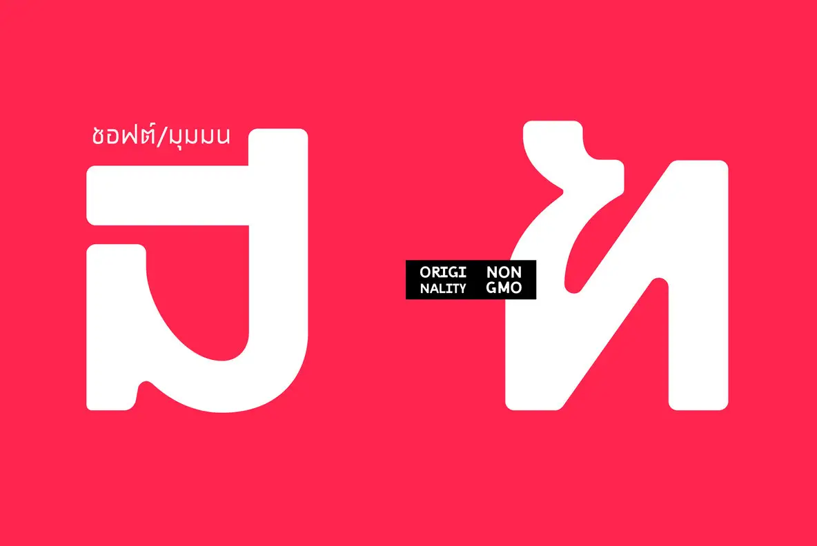 CHALOM Font - YouWorkForThem