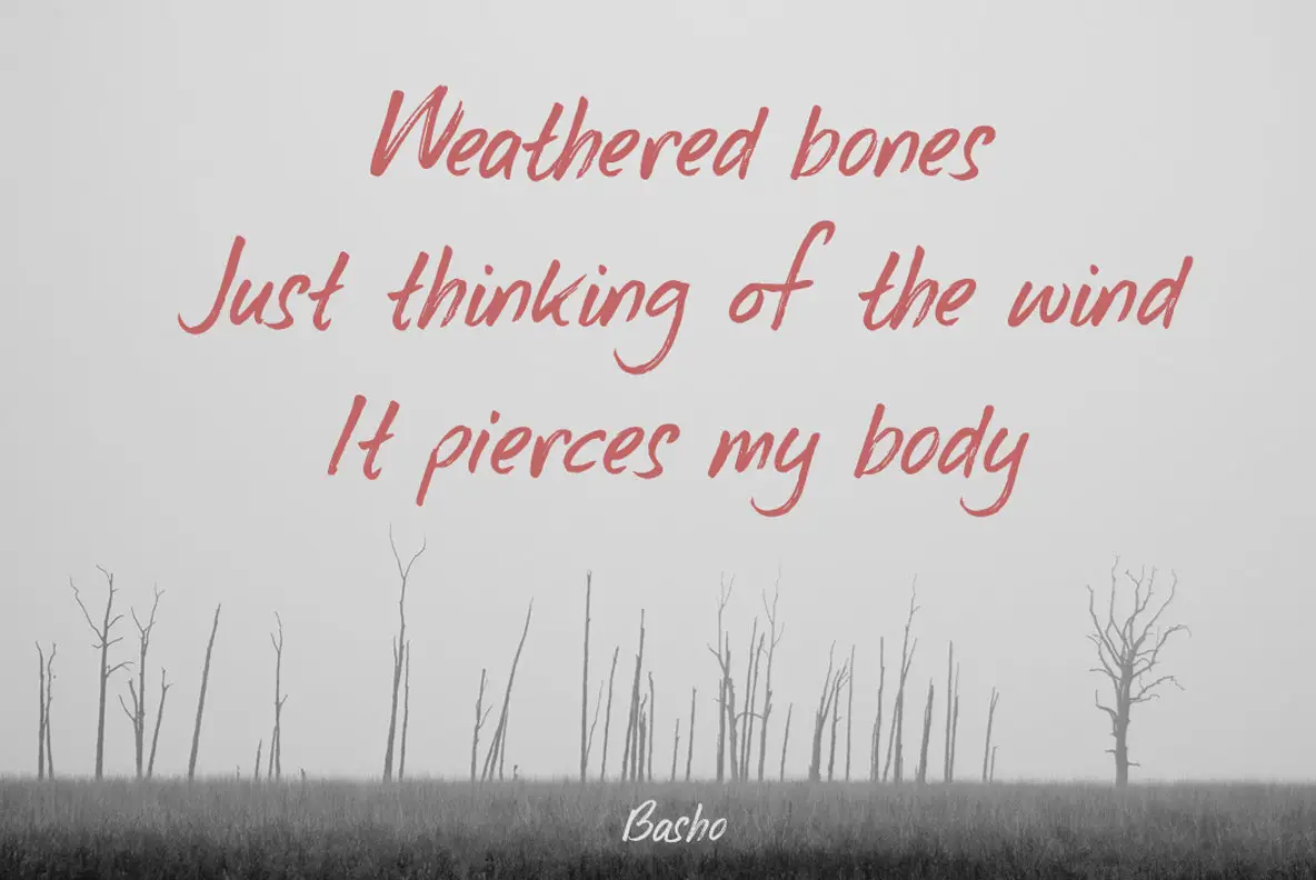 Weeping Willow Font - YouWorkForThem