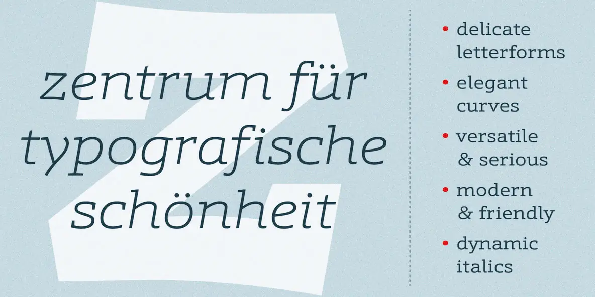 Schnebel Slab Font - FontPath