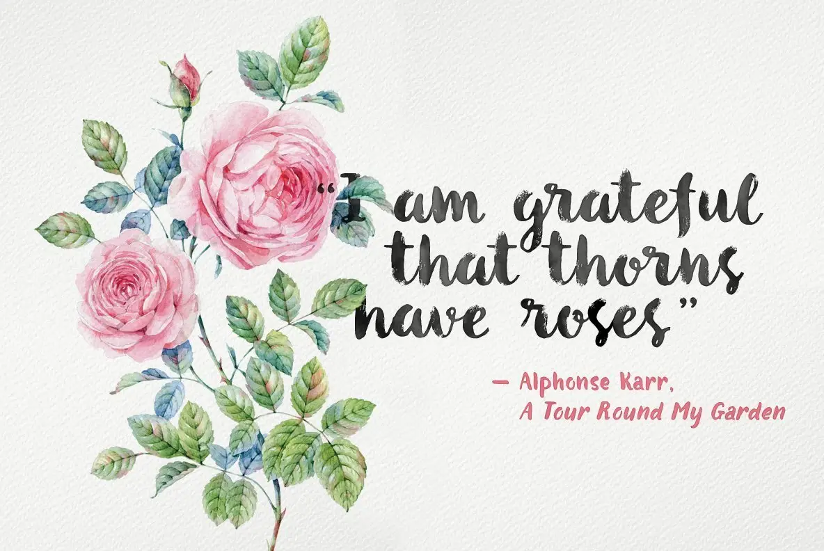 Botanica Font - FontPath