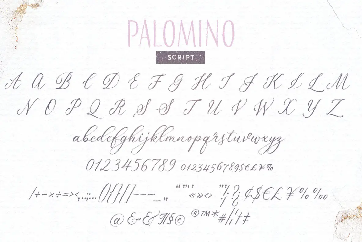 Palomino Font - YouWorkForThem