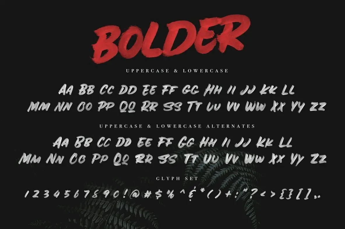Bolder (SVG Brush Font) Font - FontPath
