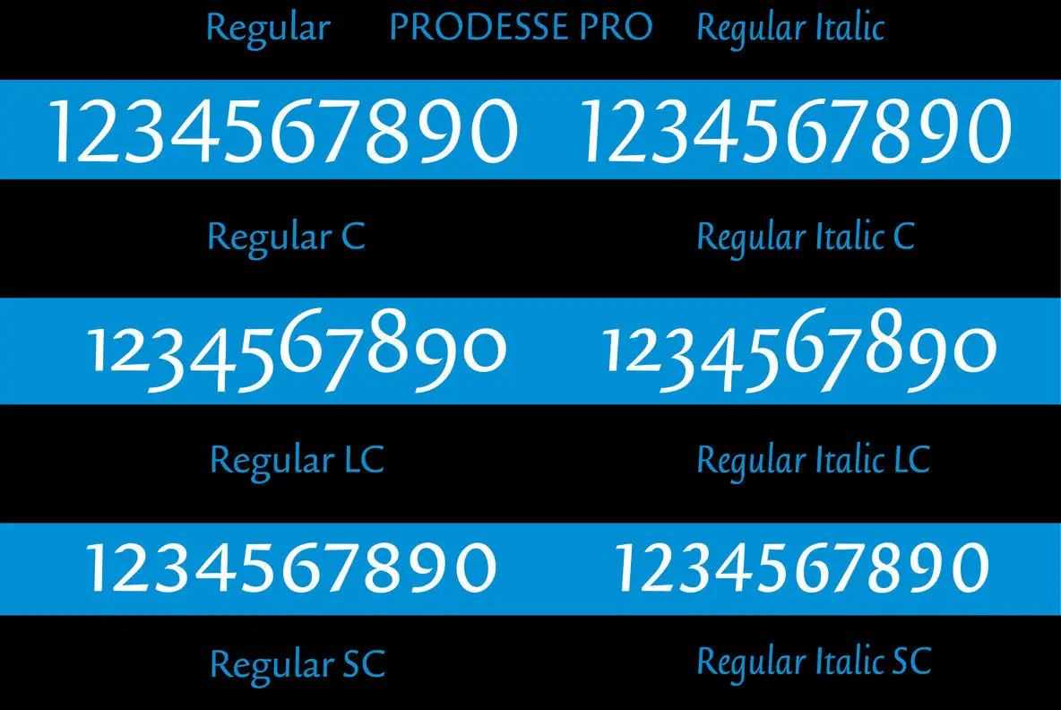 Prodesse Pro Font - YouWorkForThem
