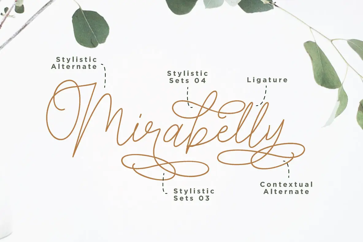 Claire Script Font - YouWorkForThem