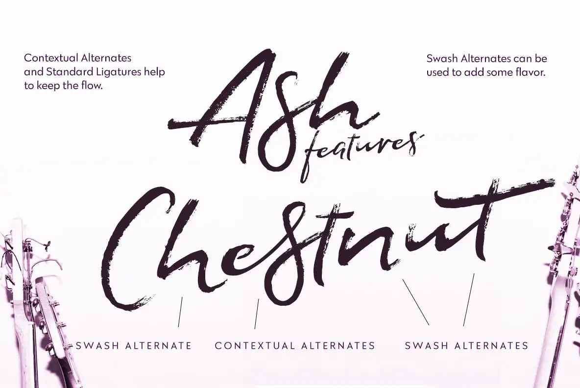 Ash Font - YouWorkForThem