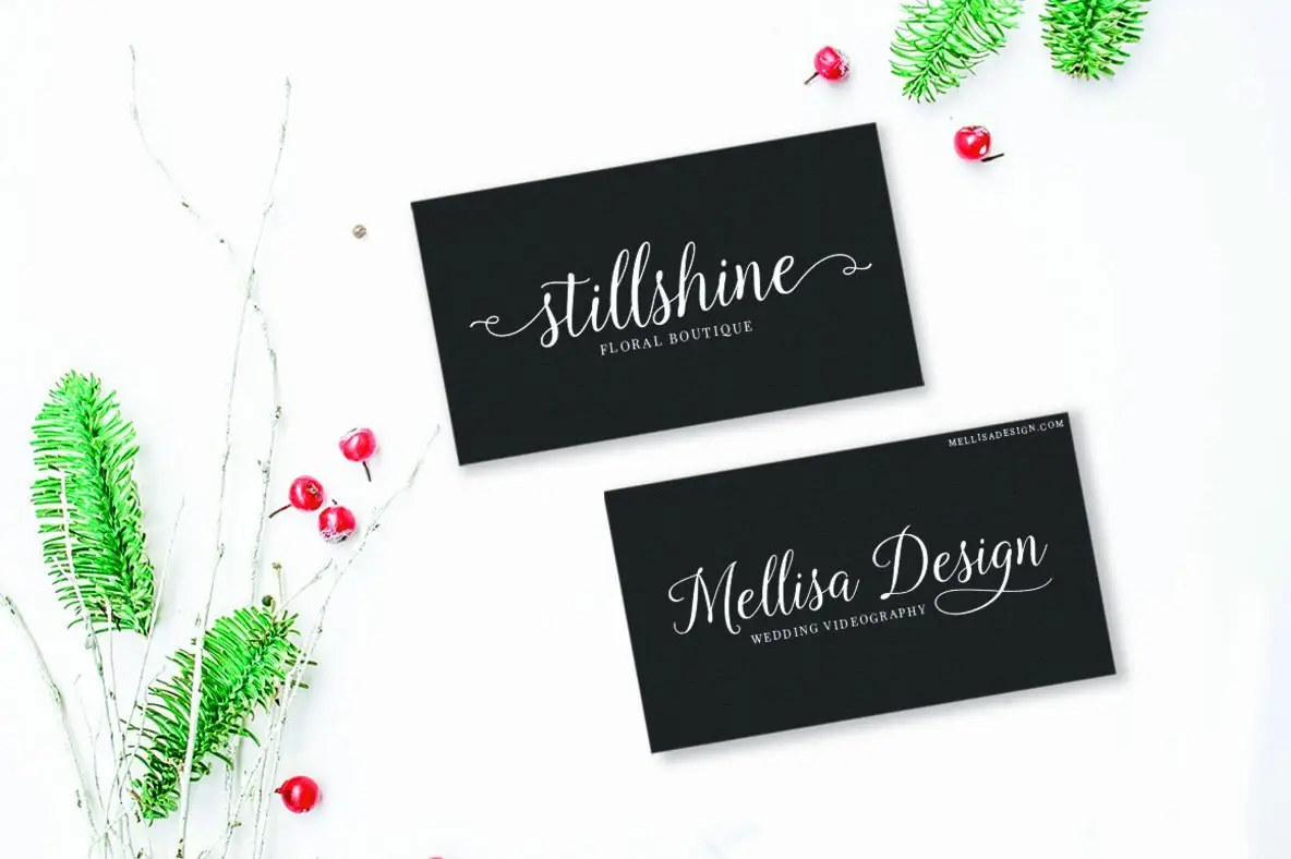 Kasandra Script Font - YouWorkForThem