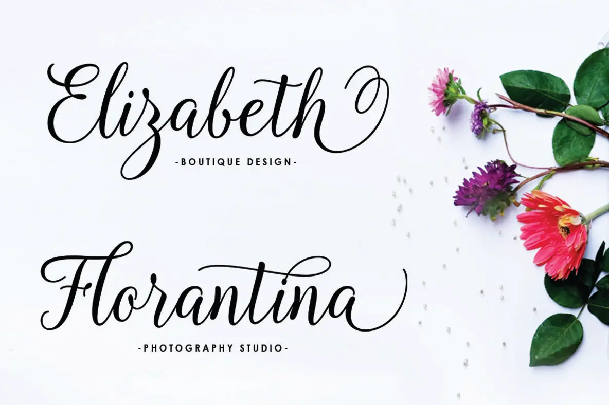 Kasandra Script Font - YouWorkForThem