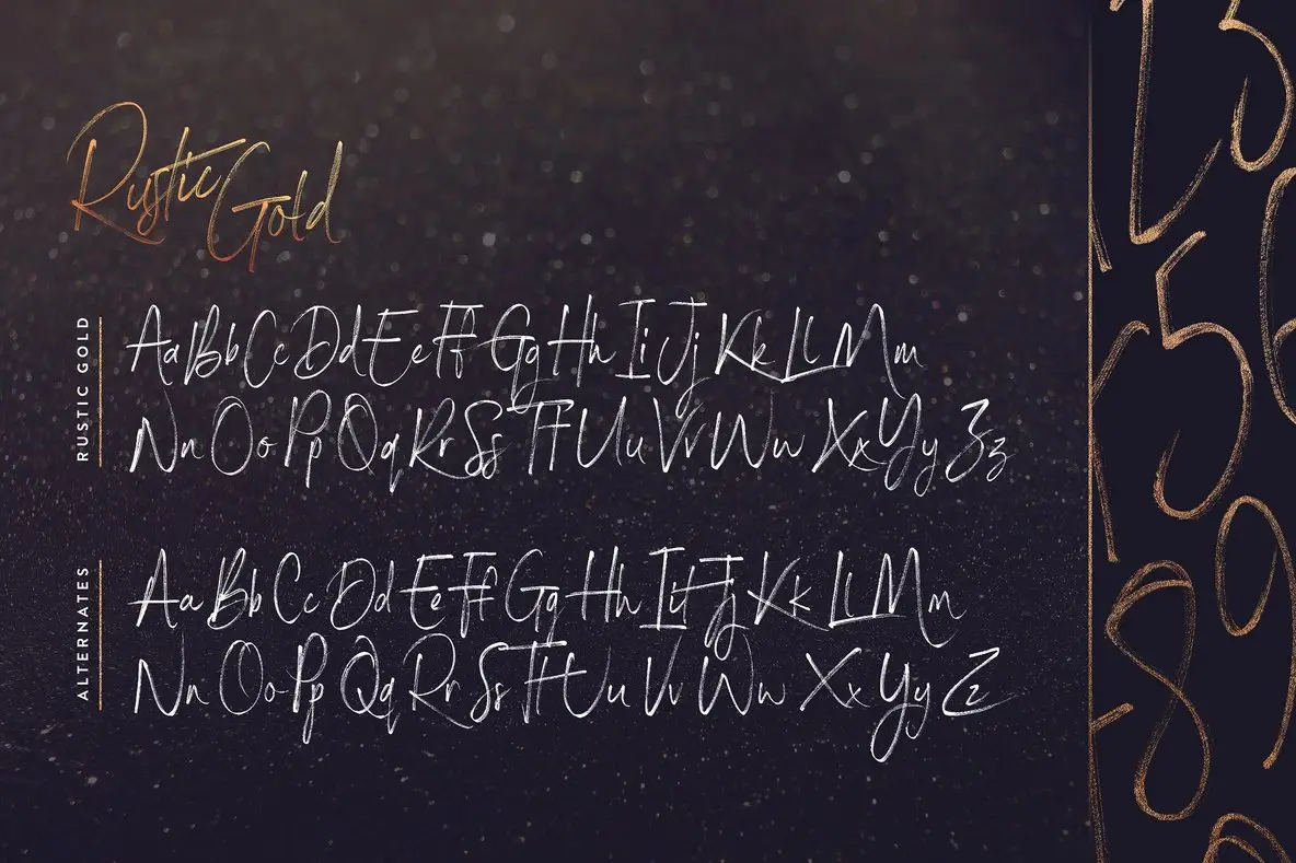 Rustic Gold SVG Script Font Font - FontPath