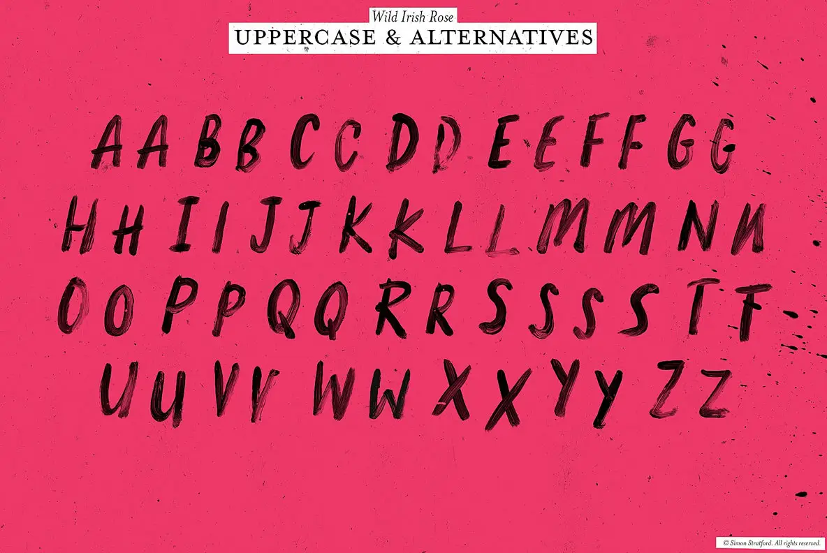 Wild Irish Rose Brush Script (SVG Font) Font - FontPath