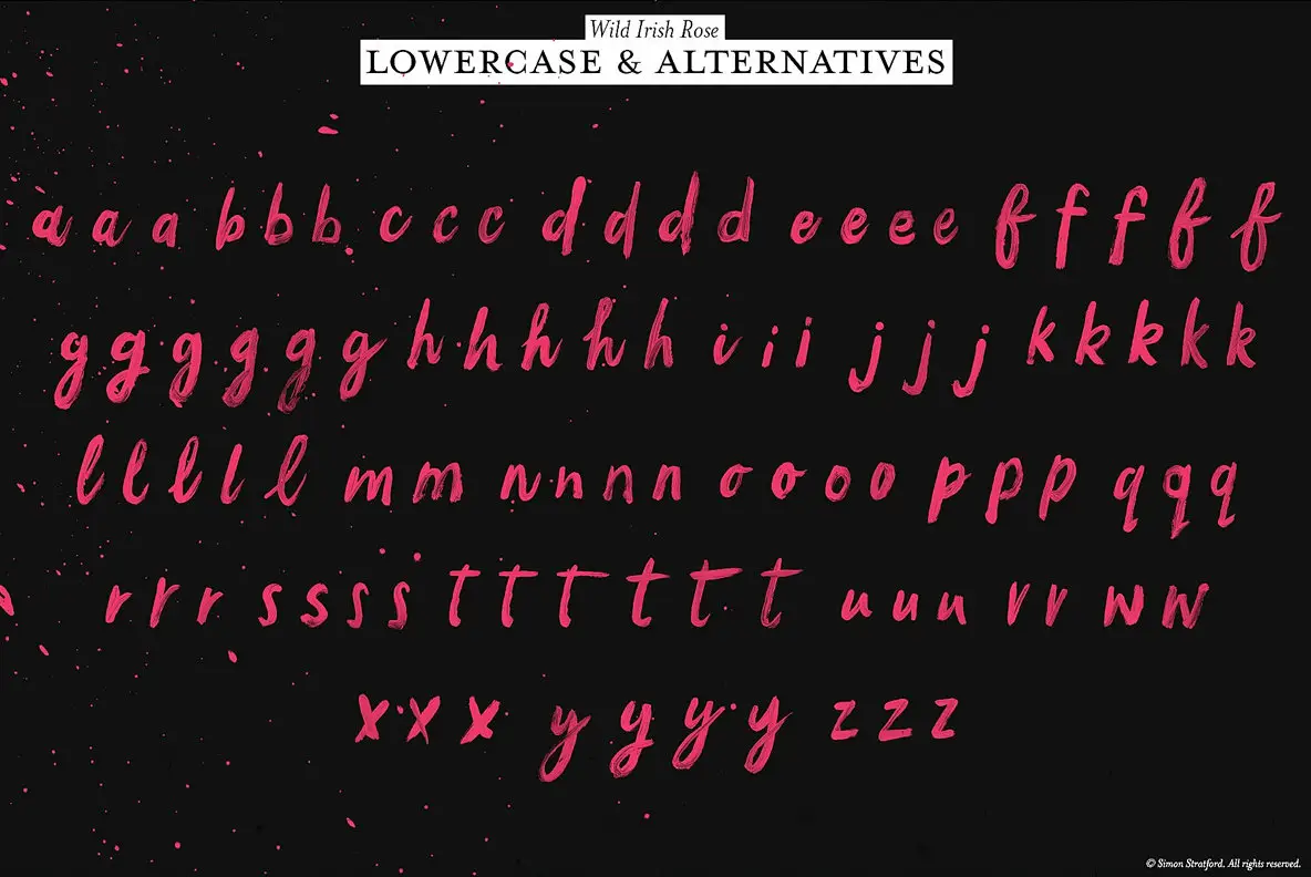 Wild Irish Rose Brush Script (SVG Font) Font - FontPath