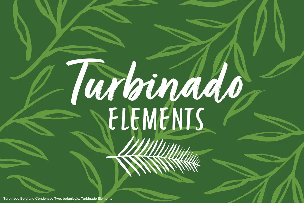 Turbinado Set Font - YouWorkForThem