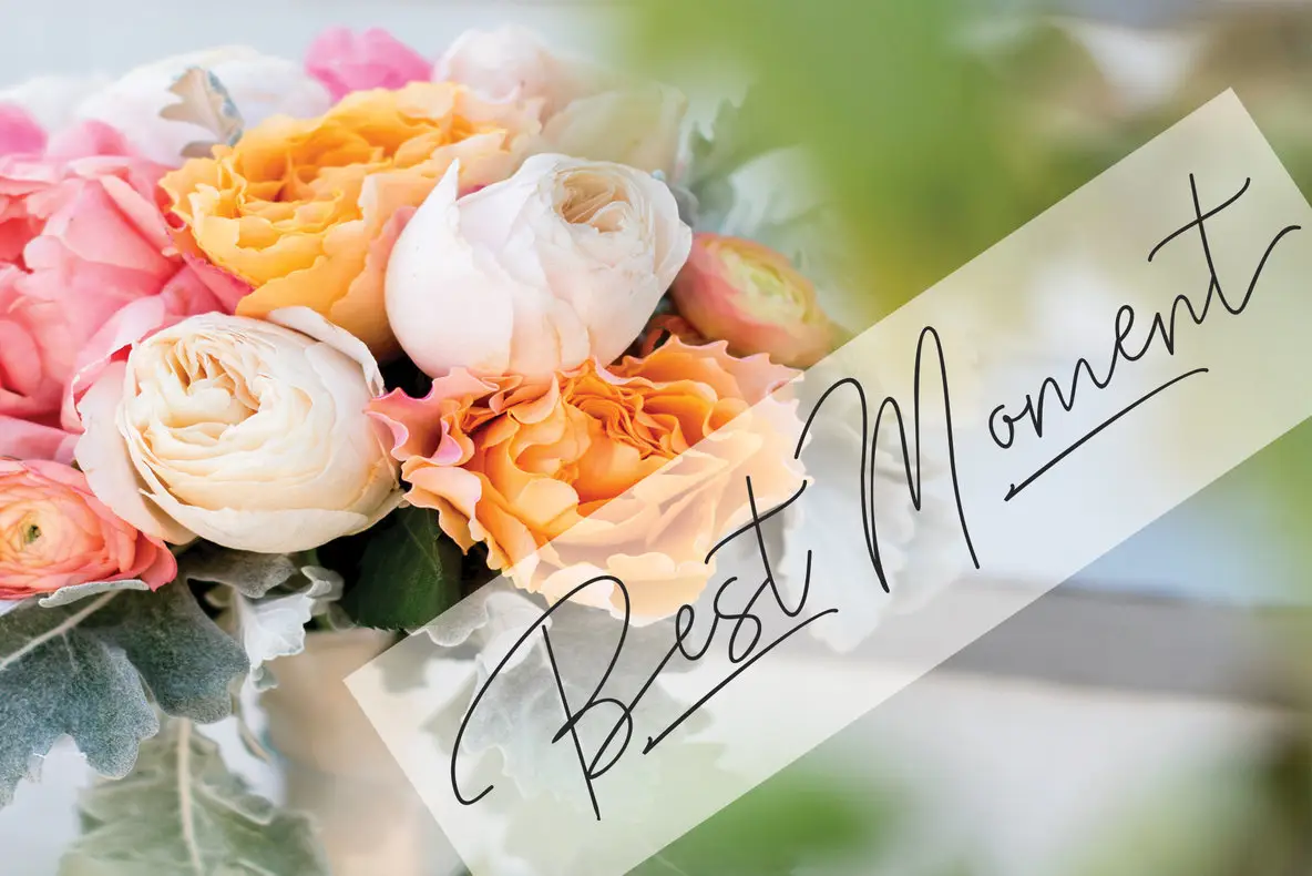 Bentosa Script Font - FontPath