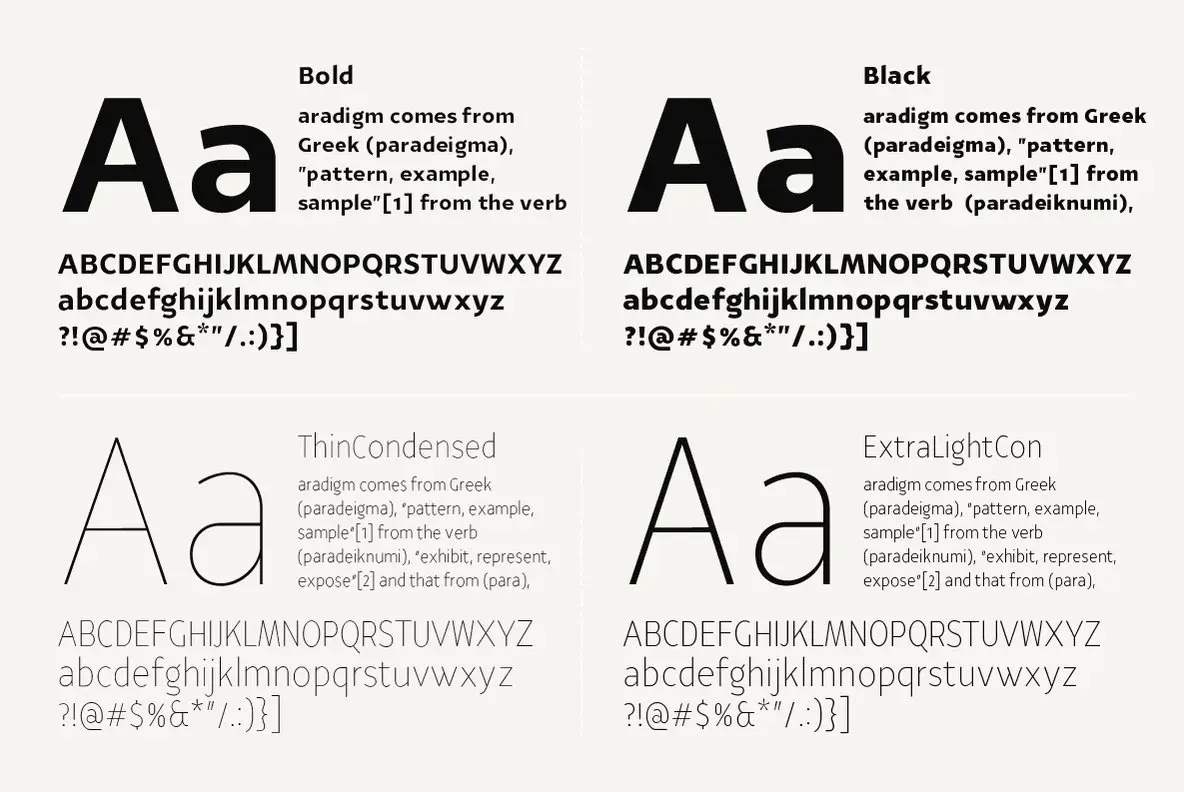 YE Paradigma Font - YouWorkForThem