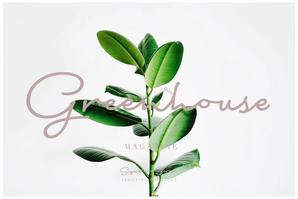 Signature Script Font - FontPath