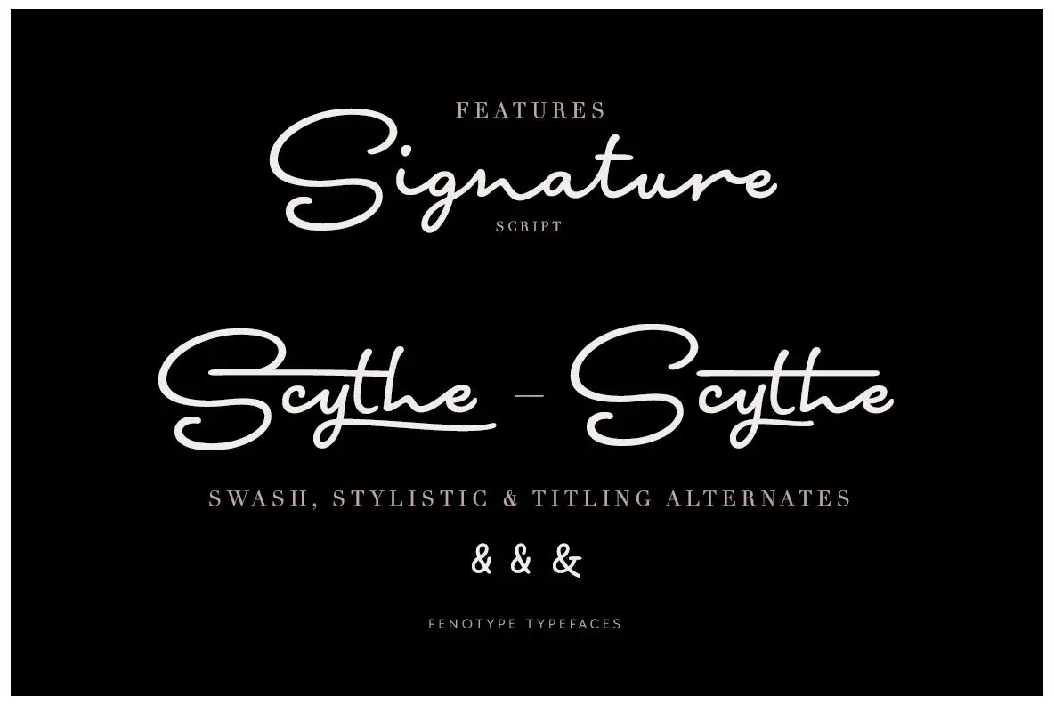 Signature Script Font - YouWorkForThem