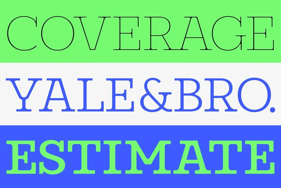 Constant Font - YouWorkForThem