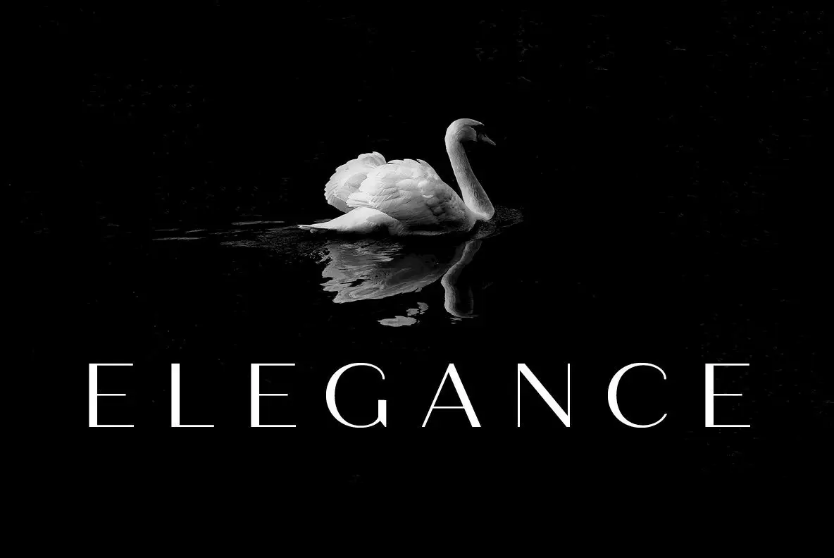 Quiche Sans Font - FontPath