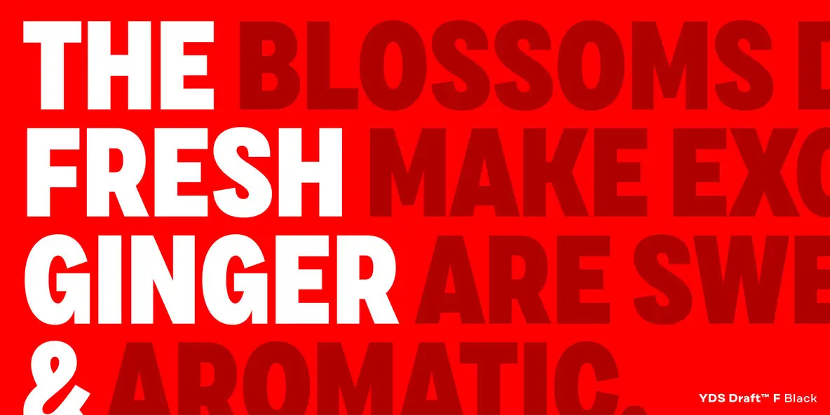 Draft Font - YouWorkForThem