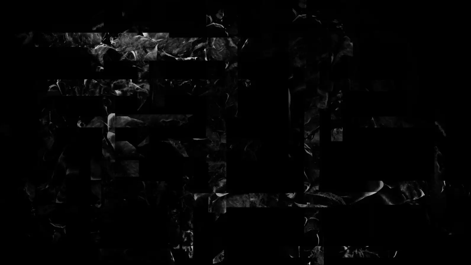 BW Grid (1531) Video - YouWorkForThem